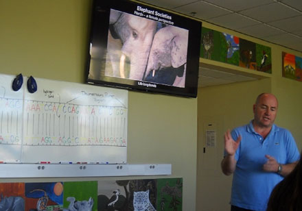 Growling Elephants – San Diego Zoo Wildlife Alliance Stories