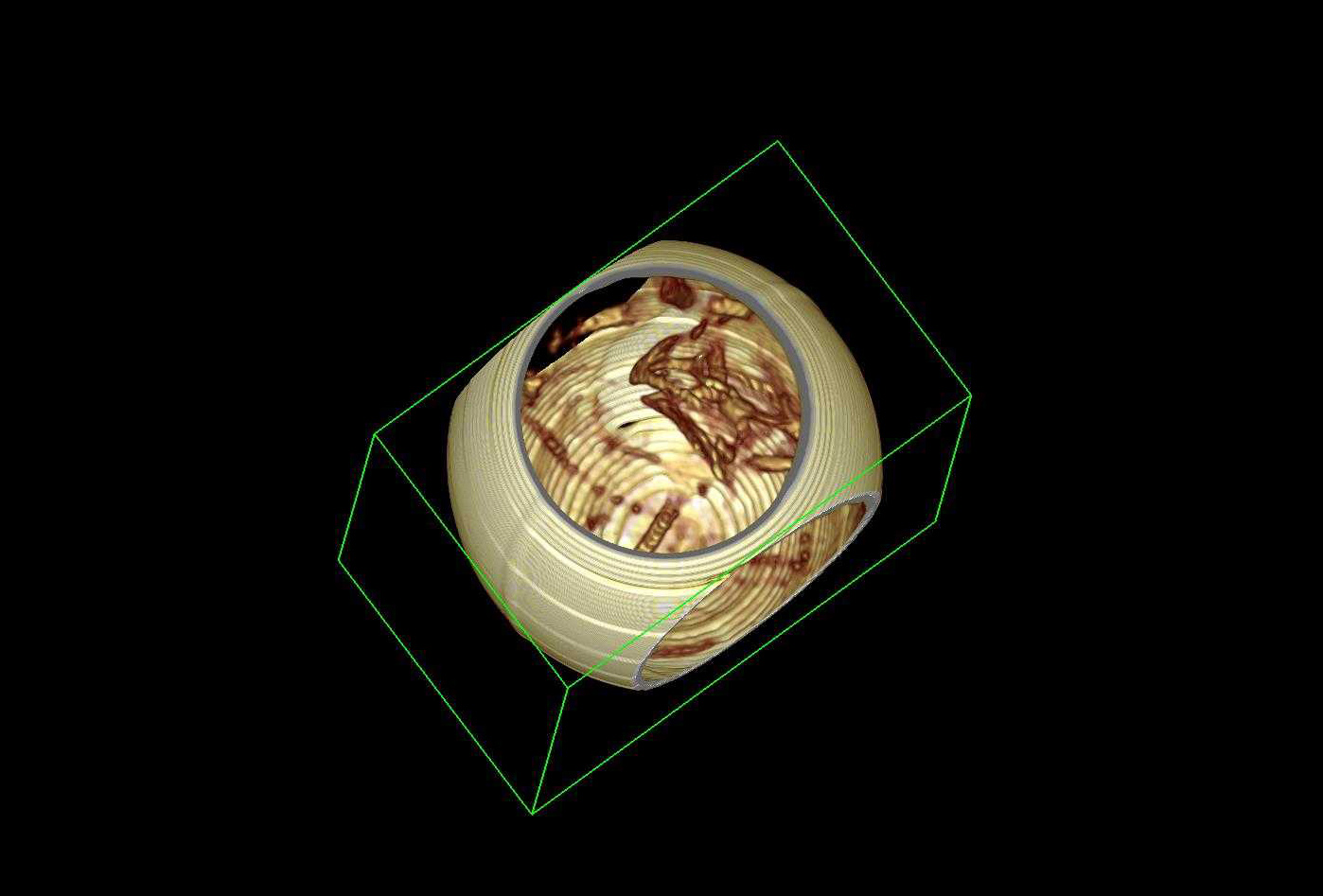 Kitwon, Our Newest California Condor Chick – San Diego Zoo Wildlife ...