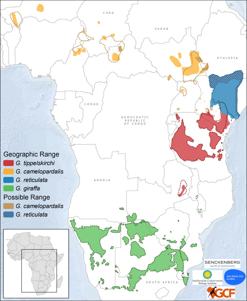 Conservationists Release New Distribution/Range Maps Showing… – San ...